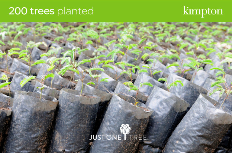 News - Kimpton Creative